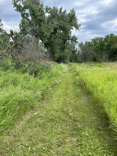 Best Hikes and Trails in Cross Ranch State Park | AllTrails