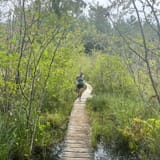 Beaver Brook Trail, Eastman Meadow Trail, and Maple Hill Ridge Loop ...