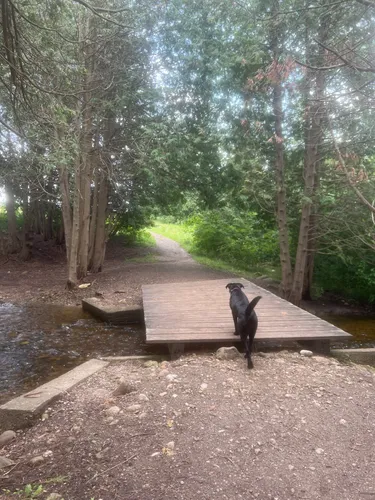 Best Hikes and Trails in Crane Park | AllTrails