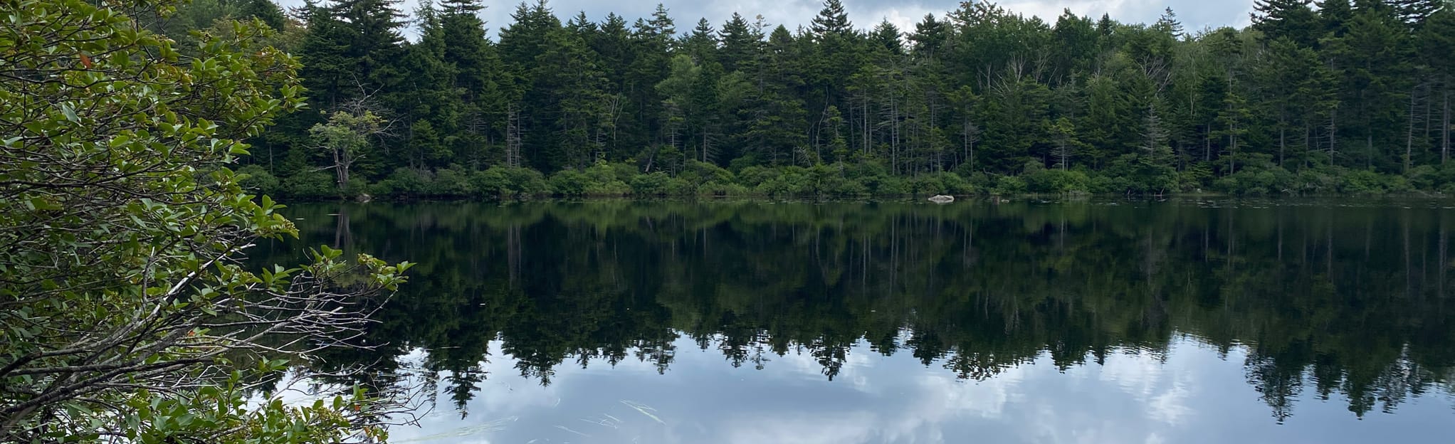 Griffith Lake Trail, Vermont - 54 Reviews, Map | AllTrails