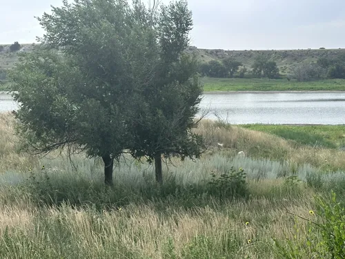 Best Hikes and Trails in Buffalo Lake National Wildlife Refuge | AllTrails