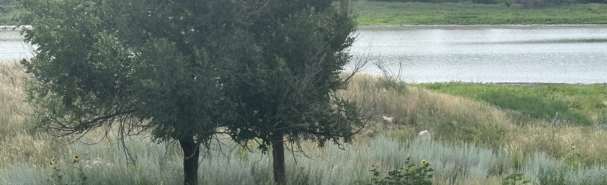 Buffalo Lake National Wildlife Refuge Trail, Texas - 47 Reviews, Map ...