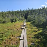 Middle Carter via Imp, North Carter, and Carter-Moriah Trail, New ...