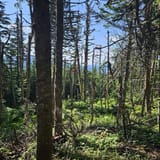 Middle Carter via Imp, North Carter, and Carter-Moriah Trail, New ...