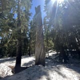 Yoran Lake Trail, Oregon - 72 Reviews, Map | AllTrails