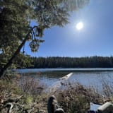 Yoran Lake Trail, Oregon - 72 Reviews, Map | AllTrails