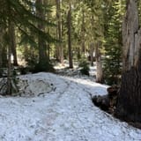 Yoran Lake Trail, Oregon - 72 Reviews, Map | AllTrails