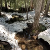 Yoran Lake Trail, Oregon - 72 Reviews, Map | AllTrails