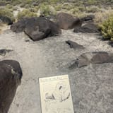 Grimes Point Petroglyphs, Nevada - 72 Reviews, Map | AllTrails