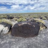 Grimes Point Petroglyphs, Nevada - 72 Reviews, Map | AllTrails