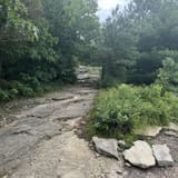 Case Mountain Trail, Connecticut - 1,013 Reviews, Map | AllTrails