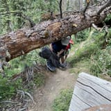 Elk Park Train Stop to Needleton, Colorado - 67 Reviews, Map | AllTrails