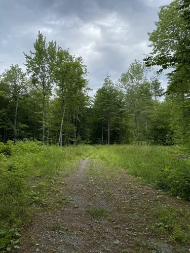 Best Hikes and Trails in Allen-Whitney Memorial Forest | AllTrails