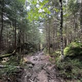 Cascade Brook Trail to Lonesome Lake, New Hampshire - 670 Reviews, Map ...