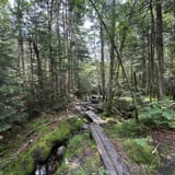 Cascade Brook Trail to Lonesome Lake, New Hampshire - 670 Reviews, Map ...