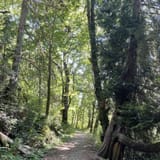 Soos Creek Trail, Washington - 962 Reviews, Map | AllTrails