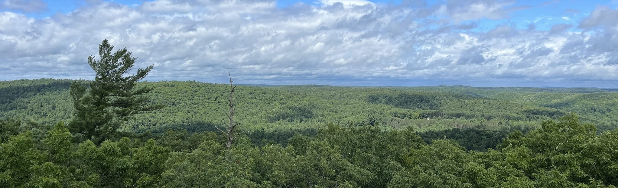 Seneca Viewpoint via Cook and Indian Trail , Pennsylvania - 60 Reviews ...