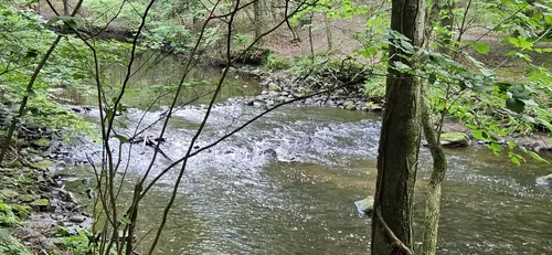 Best Hikes and Trails in Mianus River State Park | AllTrails