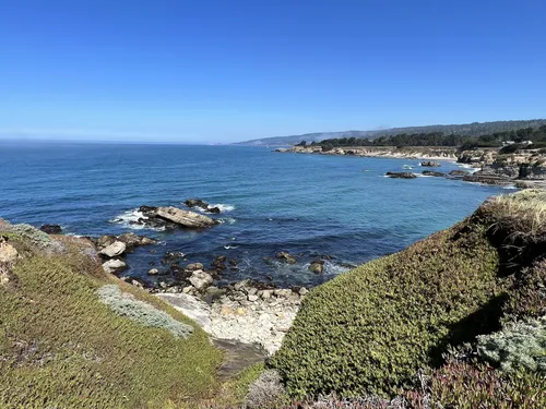 2023 Best Bird Watching Trails in The Sea Ranch | AllTrails