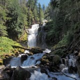 Linton Lake Trail, Oregon - 224 Reviews, Map | AllTrails