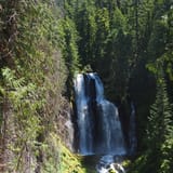 Linton Lake Trail, Oregon - 224 Reviews, Map | AllTrails