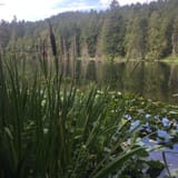 Killarney Lake Loop , British Columbia, Canada - 408 Reviews, Map ...