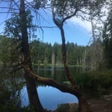 Killarney Lake Loop , British Columbia, Canada - 408 Reviews, Map ...