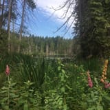 Killarney Lake Loop , British Columbia, Canada - 408 Reviews, Map ...