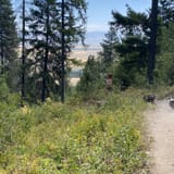 Mount Emily Recreation Area Loop, Oregon - 246 Reviews, Map | AllTrails