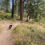 Mount Emily Recreation Area Loop, Oregon - 246 Reviews, Map | AllTrails