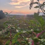 Johnny Reb Trail, Pennsylvania - 535 Reviews, Map | AllTrails