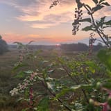 Johnny Reb Trail, Pennsylvania - 535 Reviews, Map | AllTrails