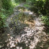 Tyler State Park Trail, Pennsylvania - 1,492 Reviews, Map | AllTrails