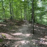 Tyler State Park Trail, Pennsylvania - 1,492 Reviews, Map | AllTrails