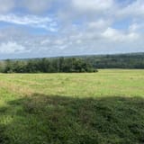 Tyler State Park Trail, Pennsylvania - 1,516 Reviews, Map | AllTrails