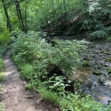 Tyler State Park Trail, Pennsylvania - 1,524 Reviews, Map | AllTrails