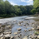 Tyler State Park Trail, Pennsylvania - 1,524 Reviews, Map | AllTrails
