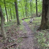 Tyler State Park Trail, Pennsylvania - 1,545 Reviews, Map | AllTrails