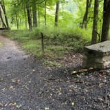 Tyler State Park Trail, Pennsylvania - 1,545 Reviews, Map | AllTrails