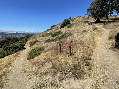 Best Hikes and Trails in Sign Hill Park | AllTrails