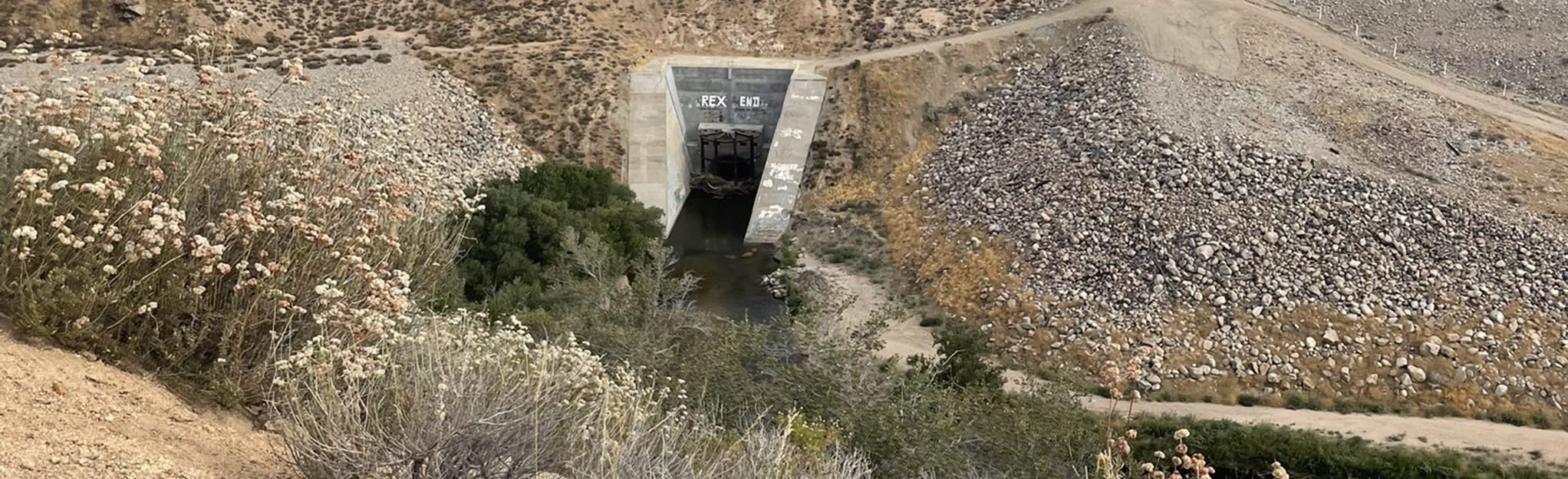 Mojave Forks River Dam Overlook Trail: 42 foto - California | AllTrails