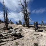 Twisted Forest, Utah - 158 Reviews, Map | AllTrails