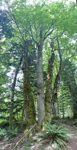 Best Hikes and Trails in Agate Bay Preserve | AllTrails
