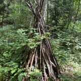 Agate Bay Preserve Loop, Washington - 375 Reviews, Map | AllTrails