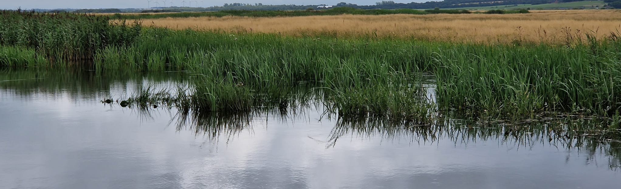 Skjern Å Rundt: 8 Reviews, Map - Central Denmark, Denmark | AllTrails