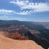 Twisted Forest, Utah - 158 Reviews, Map | AllTrails