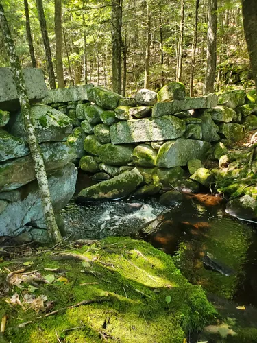 Best Hikes and Trails in Pulpit Rock Conservation Area | AllTrails