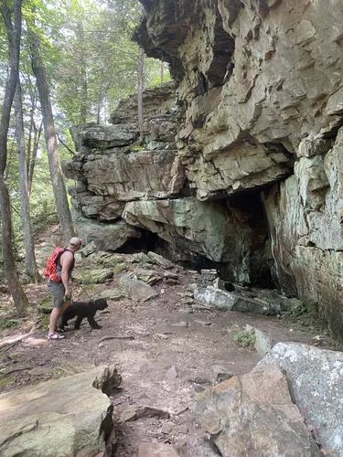 Best Hikes and Trails in Signal Point Park | AllTrails