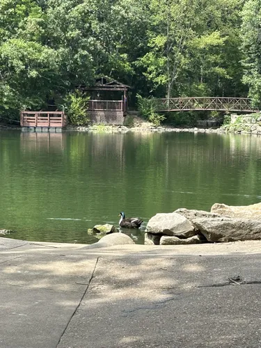 Best Hikes and Trails in Watson Trail Park | AllTrails