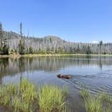 Patjens Lakes Loop Trail, Oregon - 340 Reviews, Map | AllTrails